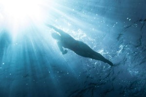Total Immersion Swimming, with Terry Laughlin – Parvati Magazine